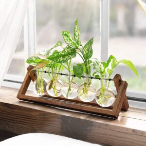 Mkono Plant Terrarium with Wooden Stand, Wall Hanging Glass Planter Desktop Glass Bulb Vase Retro Wooden Holder for Propagating Hydroponics Plants Pothos Home Office Garden Decor