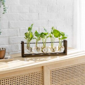 Mkono Plant Terrarium with Wooden Stand, Wall Hanging Glass Planter Desktop Glass Bulb Vase Retro Wooden Holder for Propagating Hydroponics Plants Pothos Home Office Garden Decor