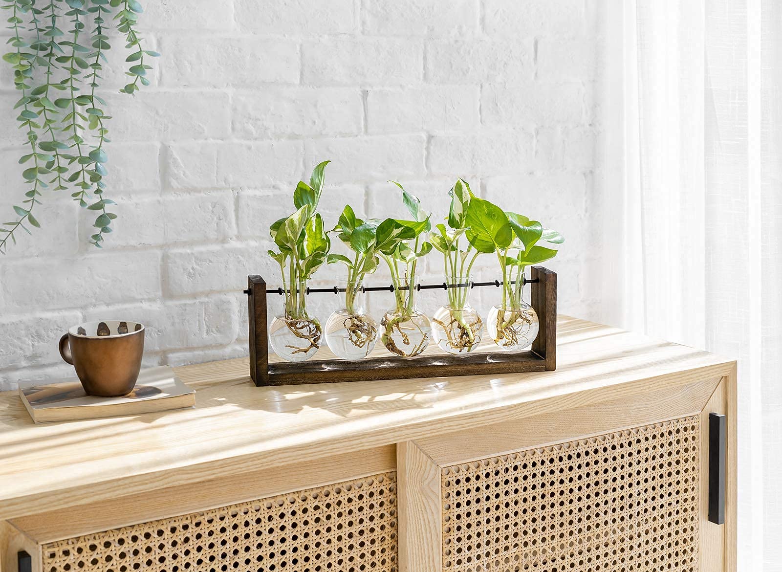 Mkono Plant Terrarium with Wooden Stand, Wall Hanging Glass Planter Desktop Glass Bulb Vase Retro Wooden Holder for Propagating Hydroponics Plants Pothos Home Office Garden Decor