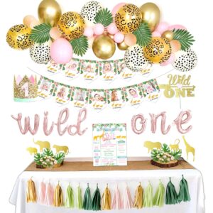 patyfeir wild one birthday decorations for girl, 1st birthday girl decorations, boho floral 1st birthday party decorations, wild one monthly photo banner, first birthday decorations for girls