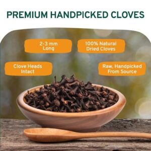 SPICE TRAIN, Handpicked Cloves Whole (10oz) Premium Cloves from India in Resealable Zip Lock Pouch | Perfect for Cooking, Smoothies, Pomander Balls & Tea