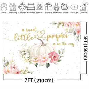 Avezano Pumpkin Baby Shower Backdrop for Girl Pink Floral Fall Pumpkin Baby Shower Party Decorations Banner Autumn Little Pumpkin is on The Way Background Photoshoot Booth Studio Props(7x5ft)