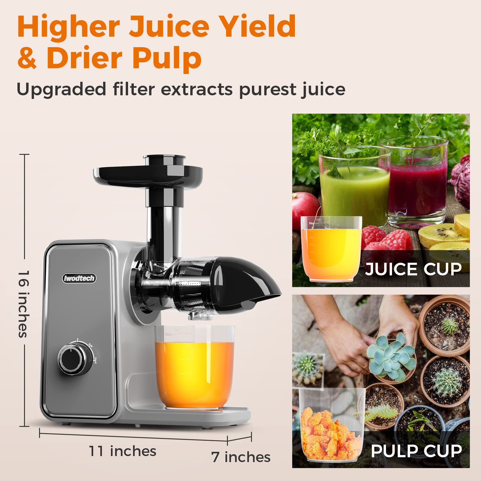 IWODTECH Juicer Machine, Cold Press Juicer with 2 Speed Modes, Slow Masticating Juicer Vegetable and Fruit, Celery Juicer, BPA-Free, Easy to Clean, Galaxy Grey