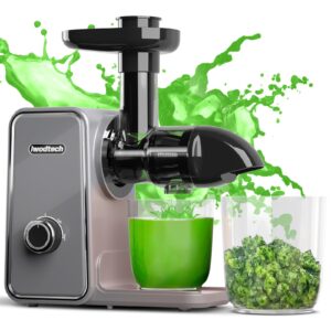 IWODTECH Juicer Machine, Cold Press Juicer with 2 Speed Modes, Slow Masticating Juicer Vegetable and Fruit, Celery Juicer, BPA-Free, Easy to Clean, Galaxy Grey