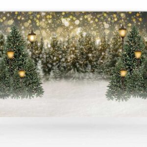 Kate 7×5ft Bokeh Snow Christmas Tree Photo Backdrop Xmas Glitter Street Lamp Snowfield Photography Background for Christmas Winter Photo Studio Props