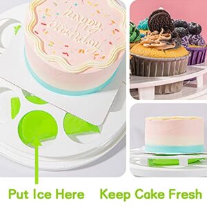 Yesland Cake Carrier with Collapsible Handle - White Cake Container and Holder with Lid - Portable Plastic Round Cake Cover for 10 inch Cake, Pies, Cookies, Nuts, Muffins, Cupcakes and Fruit