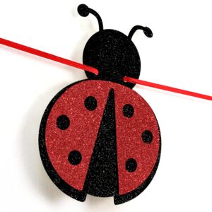 Ladybug Theme Happy Birthday Little Lady Banner - Girl's Baby Shower/Birthday Party Backdrops- Baby's 1st/2nd/3rd Barthday Decorations Supplies for Girl