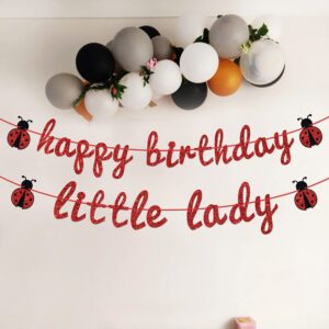 Ladybug Theme Happy Birthday Little Lady Banner - Girl's Baby Shower/Birthday Party Backdrops- Baby's 1st/2nd/3rd Barthday Decorations Supplies for Girl