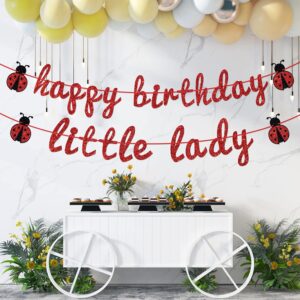 Ladybug Theme Happy Birthday Little Lady Banner - Girl's Baby Shower/Birthday Party Backdrops- Baby's 1st/2nd/3rd Barthday Decorations Supplies for Girl