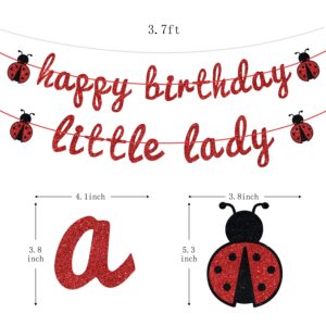 Ladybug Theme Happy Birthday Little Lady Banner - Girl's Baby Shower/Birthday Party Backdrops- Baby's 1st/2nd/3rd Barthday Decorations Supplies for Girl