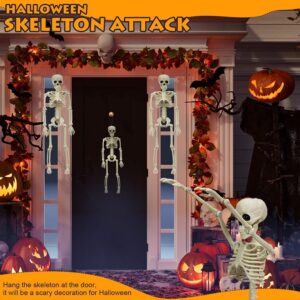 TOY Life 4 Pcs Halloween Hanging Skeleton Decoration, 16” Posable Skeleton Halloween Decoration, Full Body Posable Joints Skeletons, Halloween Decorations Outdoor Indoor, Plastic Skeleton