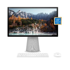 HP Chromebase 21.5" All-in-One Desktop, Intel Pentium Gold 6405U Processor, 4 GB RAM, 128 GB SSD, Rotating Full HD IPS Touchscreen, Chrome OS, Bluetooth Keyboard and Mouse Combo (22-aa0022, 2021)