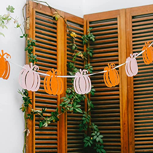 Pumpkin Happy Birthday Banner Party, Pumpkin Patch Pink and Orange Garland for Girls or Kids, Little Pumpkin Theme Decorations Baby Thanksgiving Fall Party, Autumn Halloween Party Supplies Decoration