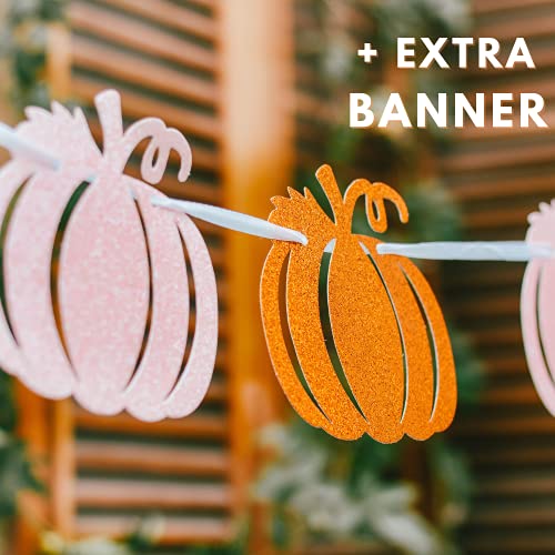 Pumpkin Happy Birthday Banner Party, Pumpkin Patch Pink and Orange Garland for Girls or Kids, Little Pumpkin Theme Decorations Baby Thanksgiving Fall Party, Autumn Halloween Party Supplies Decoration