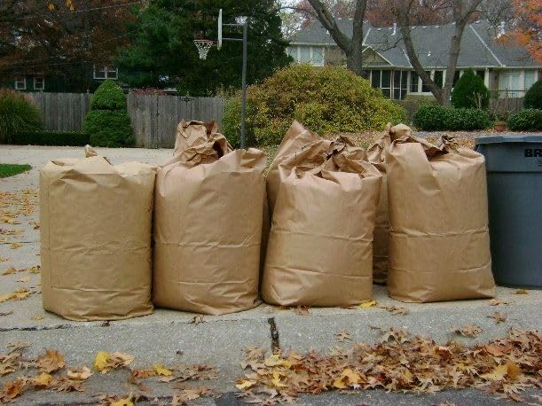 Rocky Mountain Goods Yard Waste Bags - Large 30 Gallon Brown Paper Leaf Bags for Yard/Garden - Environmental Friendly Lawn Bags - Tear Resistant Refuse Yard Bags - Heavy Duty 2 Ply Self Standing (5)