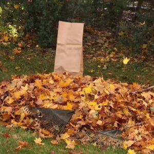 Rocky Mountain Goods Yard Waste Bags - Large 30 Gallon Brown Paper Leaf Bags for Yard/Garden - Environmental Friendly Lawn Bags - Tear Resistant Refuse Yard Bags - Heavy Duty 2 Ply Self Standing (5)