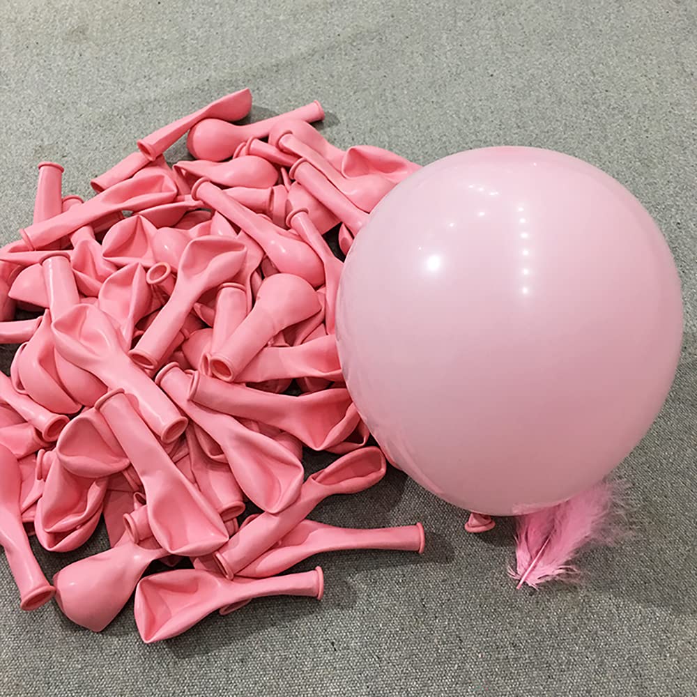 5 inch Pastel Pink Balloons, 100 pcs Mini Macaron Pink Light Pink Latex Balloons for Birthday Wedding Baby Shower Party Decorations (Pastel Pink)