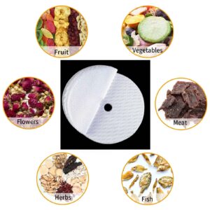 10pcs Round Silicone Dehydrator Sheets,13in Non-stick Fruit Dehydrator Mats,Reusable Steamer Mat Mesh Sheet for Fruit Dryer (10, 13x13inch)