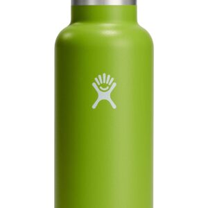 Hydro Flask Standard Mouth Stainless Steel Bottle with Flex Cap