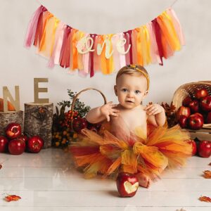 Little Pumpkin 1st Birthday High Chair Banner-Birthday High Chair Ballet Banner, Halloween Birthday Banner, Party Decorations (Little Pumpkin)