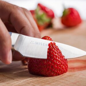 Misen 3.5-Inch Precision Paring Knife: Ideal for Fruits & Vegetables, High Carbon Stainless Steel, Ultra-Sharp, Includes Kitchen Blade Guard - Blue