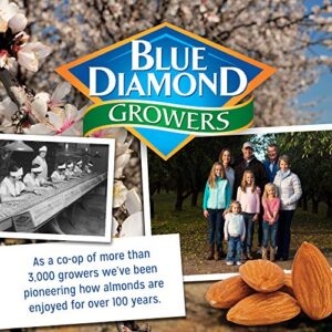 Blue Diamond Almonds, Spicy Dill Pickle, 16oz Bag