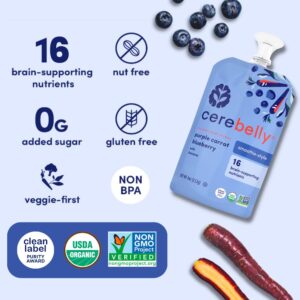 Cerebelly Baby Food Pouches Stage 1 – Purple Carrot Blueberry Smoothie (Pack of 6), Organic Fruit & Veggie Purees, Great Toddler Snacks, 16 Brain-supporting Nutrients from Superfoods, No Added Sugar