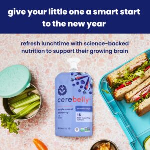 Cerebelly Baby Food Pouches Stage 1 – Purple Carrot Blueberry Smoothie (Pack of 6), Organic Fruit & Veggie Purees, Great Toddler Snacks, 16 Brain-supporting Nutrients from Superfoods, No Added Sugar