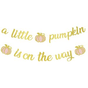 little pumpkin baby shower decorations girl a little pumpkin on the way banner a little pumpkin is on the way baby shower decorations pumpkin baby shower banner lil pumpkin baby shower decorations