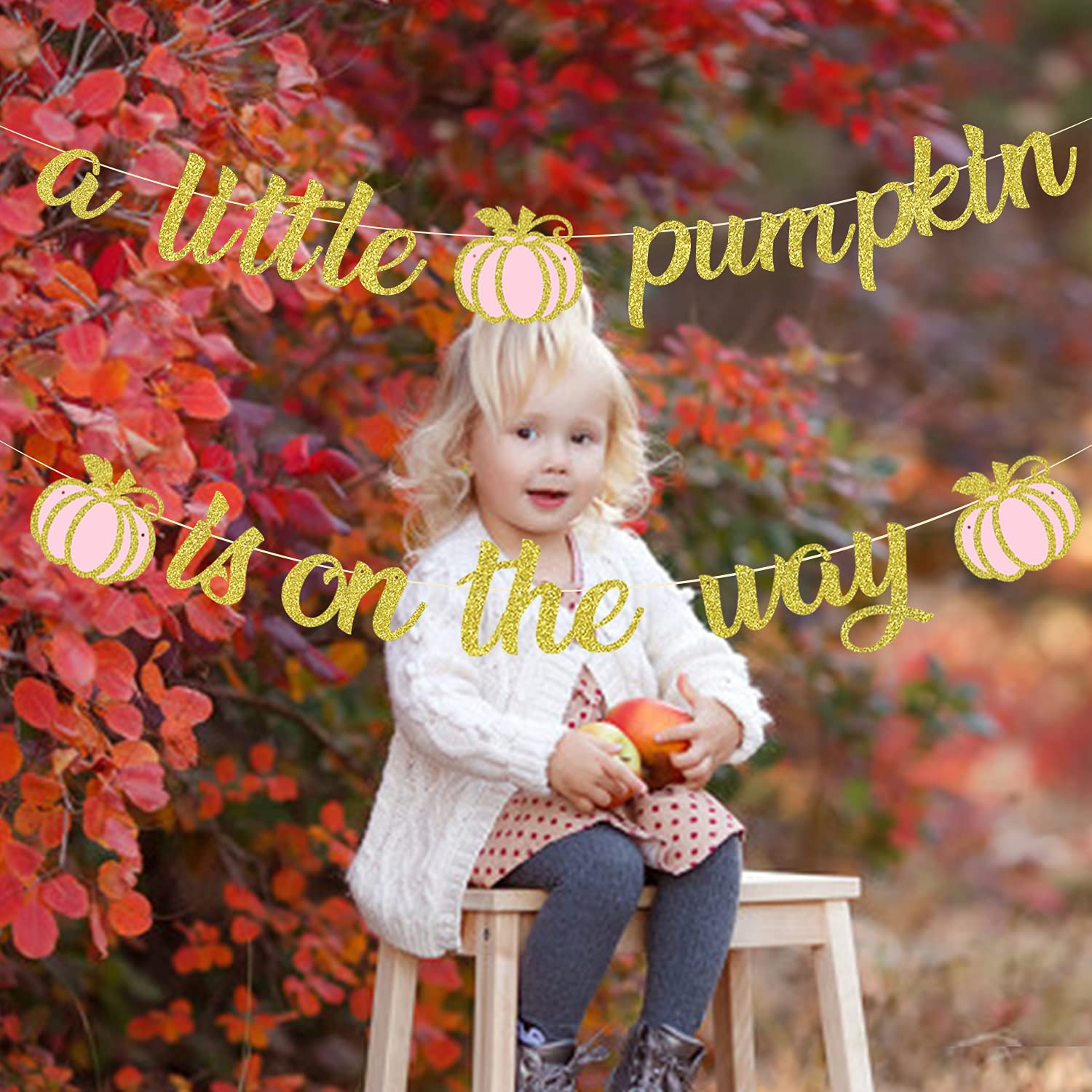 Little Pumpkin Baby Shower Decorations Girl a Little Pumpkin on The Way Banner A Little Pumpkin is On The Way Baby Shower Decorations Pumpkin Baby Shower Banner Lil Pumpkin Baby Shower Decorations