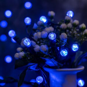 YULETIME Blue One-Piece G12 LED Christmas Lights, Total 48 Feet 140 Count 2 Strands 24ft 70ct Waterproof Raspberry String Light (Blue)