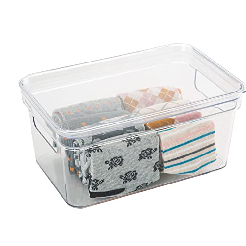 Simplify Small, Super Clear Lidded Storage Bin