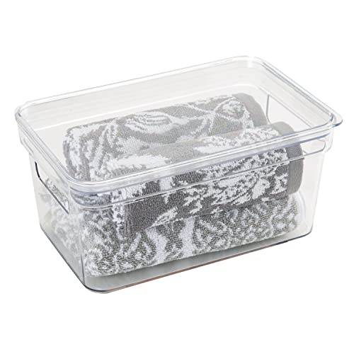 Simplify Small, Super Clear Lidded Storage Bin