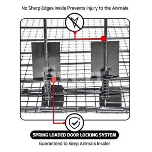 Humane Way Folding 50 Inch Live Humane Animal Trap - Safe Traps for All Animals - Dogs, Raccoons, Cats, Groundhogs, Opossums, Coyote, Bobcat - 50"x20"x26"