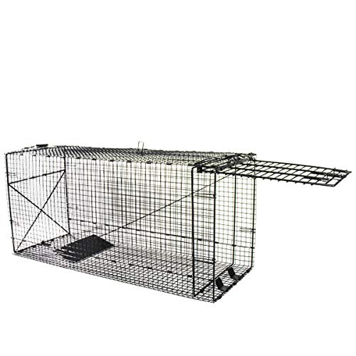 Humane Way Folding 50 Inch Live Humane Animal Trap - Safe Traps for All Animals - Dogs, Raccoons, Cats, Groundhogs, Opossums, Coyote, Bobcat - 50"x20"x26"