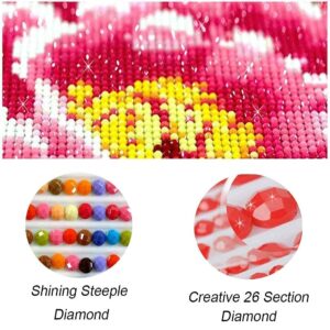 DIY 5D Diamond Painting Movie by Number Kits Full Drills for Adults,Round Drill Cross Crystal Rhinestone Pictures Arts Craft for Home Wall Decor Gift.(Interstellar Baby-1/30X40cm/11.8X15.7inch)