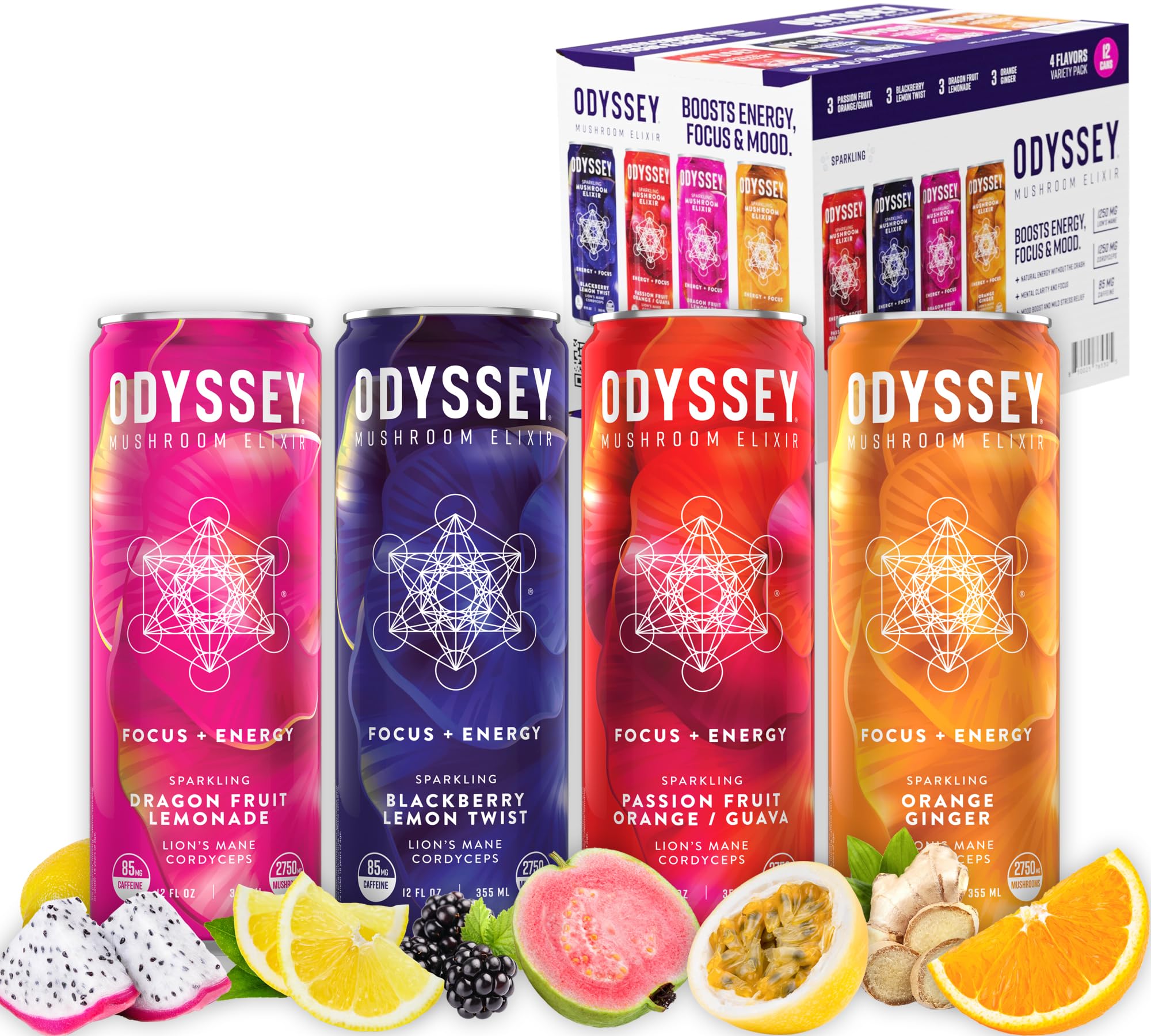 ODYSSEY ELIXIR Sparkling Mushroom Drink with Lions Mane and Cordyceps Adaptogenic Mushrooms, L Theanine and Green Tea Caffeine for Energy and Focus, 12 Fl oz, Variety Pack, 12 Cans