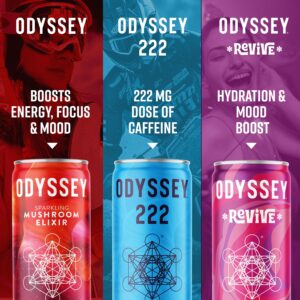 ODYSSEY ELIXIR Sparkling Mushroom Drink with Lions Mane and Cordyceps Adaptogenic Mushrooms, L Theanine and Green Tea Caffeine for Energy and Focus, 12 Fl oz, Variety Pack, 12 Cans