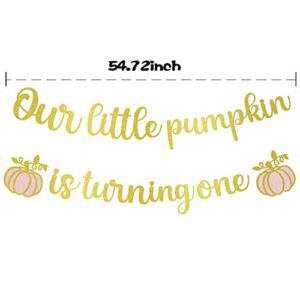 Our Little Pumpkin is Turning one Banner, Little Pumpkin Banner, Little Pumpkin Baby Shower Decorations, Pumpkin First Birthday,Fall Baby Shower Decorations