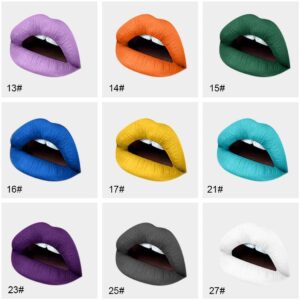 Kilshye Matte Lipstick Hight Pigment Lipsticks Long Lasting Lip Stick Waterproof Lips Gloss Cream Lipgloss Makeup for Women and Girls Pack of 1 (I- Orange 14)