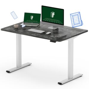 FLEXISPOT Whole Piece 48"x30" Desktop 1" Thickness Height Adjustable Desk Rectangular Tabletop Graphite Board (48INCH Graphite)