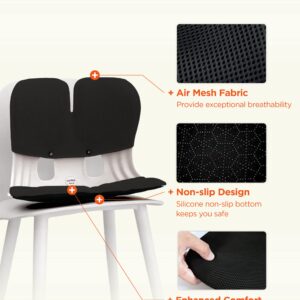 curble Grand Cover, Detachable Cover for Adult Chair, Ergonomic Chair Back Support and Lumbar Support (Black)