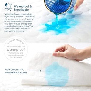 GRSSDER Waterproof Pack and Play Mattress Protector, Extra Soft and Breathable Pack n Play Sheets, Machine Washable Mini Crib Mattress Pad Cover for Size 39" x 27", White Circular Pattern