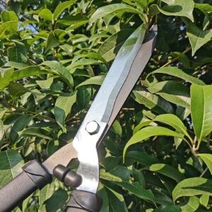 YRTSH Hedge Clippers Shears Hedge Shears for Trimming Borders, Garden Tools Hedge Clippers, Bush Cutters Trimmer with Sharp Wavy Blades, Garden Shears for Hedges (19 Inch)