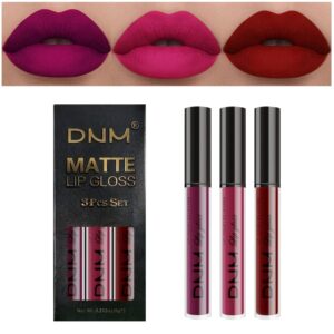 amy's diary 3pcs dark red purple matte liquid lipstick sets, matte lipstick lip stain long lasting 24 waterproof lip gloss gift set matt lipsticks set for women lippies (set01)