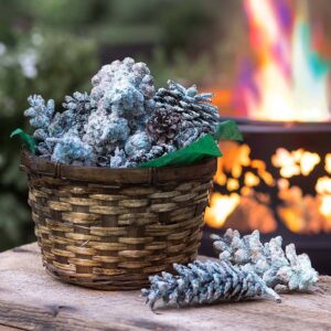 Plow and Hearth Color-Changing Fireplace Color Cones, 1 lb. in Gift Basket, Indoor/Outdoor Wood Fires, Fire Pit, Hostess Gift, Housewarming Gifts, 10 Minutes, Blue and Green Flames, 7" Dia. x 10" H