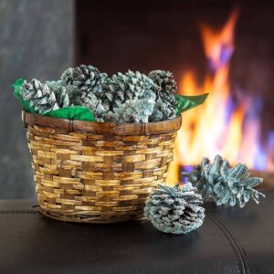 Plow and Hearth Color-Changing Fireplace Color Cones, 1 lb. in Gift Basket, Indoor/Outdoor Wood Fires, Fire Pit, Hostess Gift, Housewarming Gifts, 10 Minutes, Blue and Green Flames, 7" Dia. x 10" H