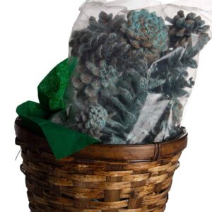 Plow and Hearth Color-Changing Fireplace Color Cones, 1 lb. in Gift Basket, Indoor/Outdoor Wood Fires, Fire Pit, Hostess Gift, Housewarming Gifts, 10 Minutes, Blue and Green Flames, 7" Dia. x 10" H