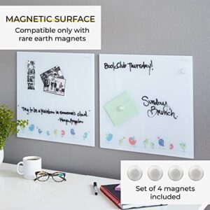 ECR4Kids MessageStor Magnetic Dry-Erase Glass Board with Magnets, 17.5in x 17.5in, Wall-Mounted Whiteboard, Birds, 2-Pack