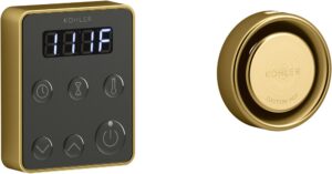 kohler 5557-2mb invigoration series steam, no size, vibrant brushed moderne brass